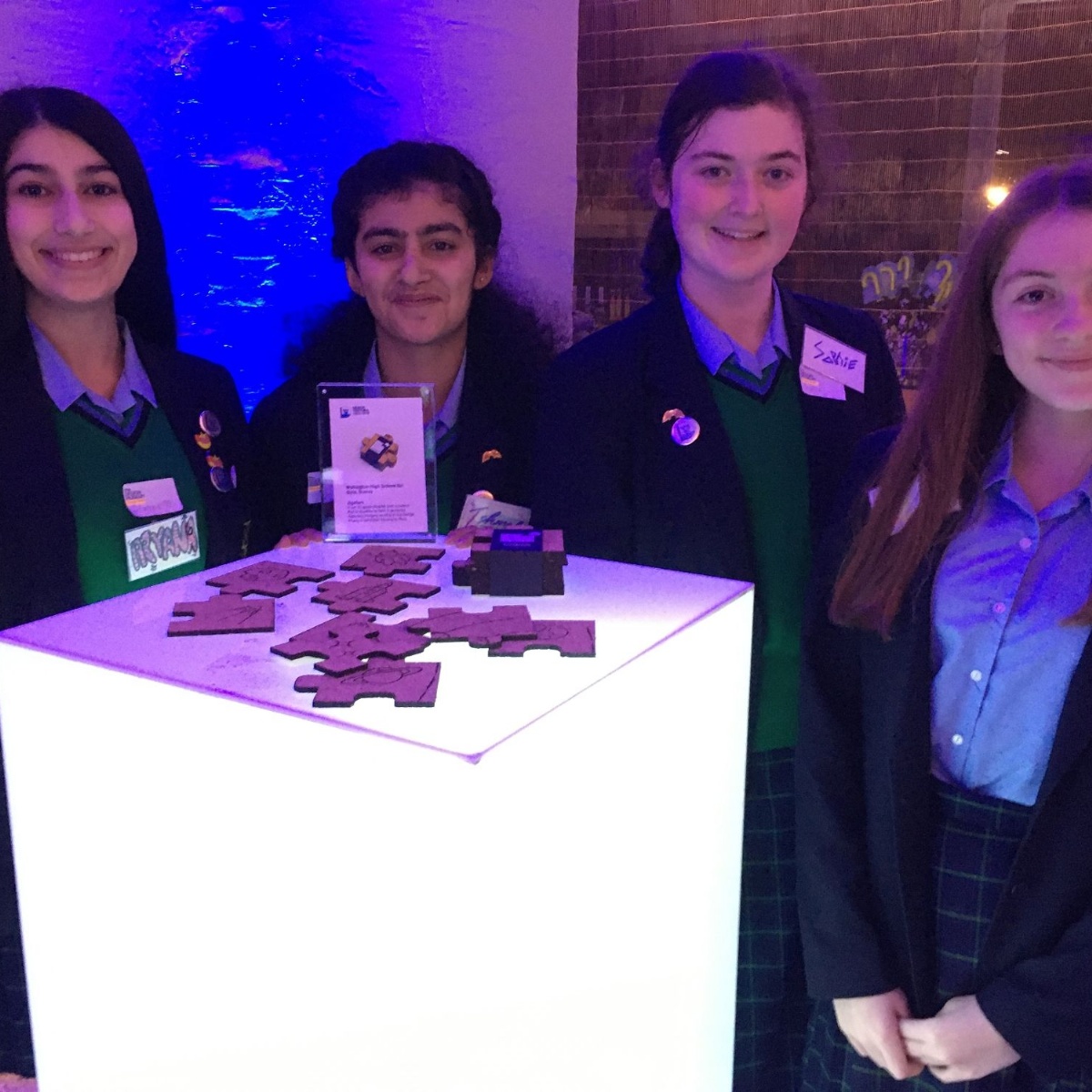 Design Ventura Competition - Wallington High School for Girls